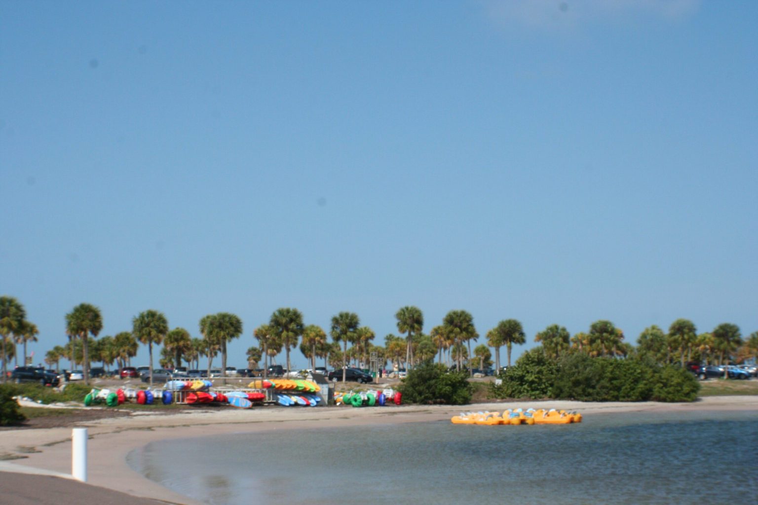 Fred Howard Beach – 5 Reasons Why You Should Plan a Getaway